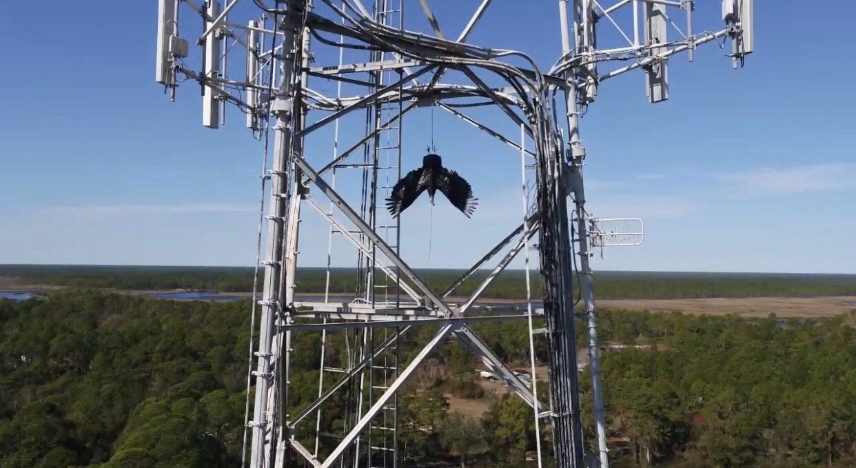 Products - Osprey Nesting and Vulture Roosting Deterrents